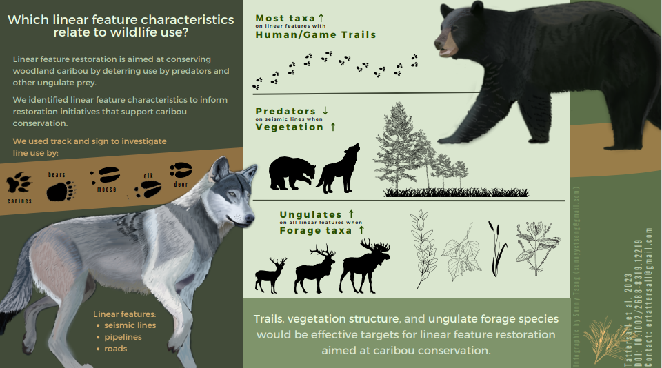 Which Linear Feature Characteristics Relate to Wildlife Use? | Canadian ... Which Linear Feature Characteristics Relate to Wildlife Use? | Canadian ...